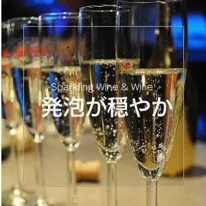 発泡が穏やかで驚くほど美味しい！が新しくなりました！ | Wineholic Cafe