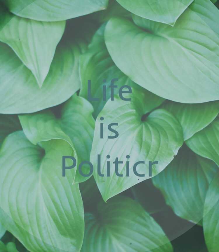 Politics is life