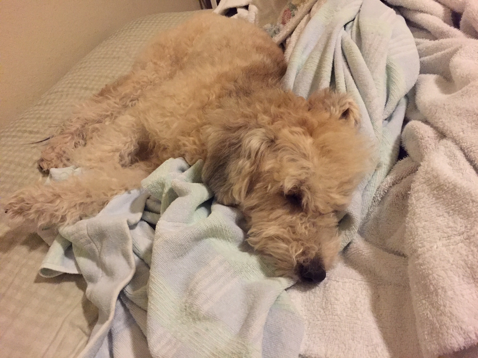 ひとつ突破 | TegeTege-life