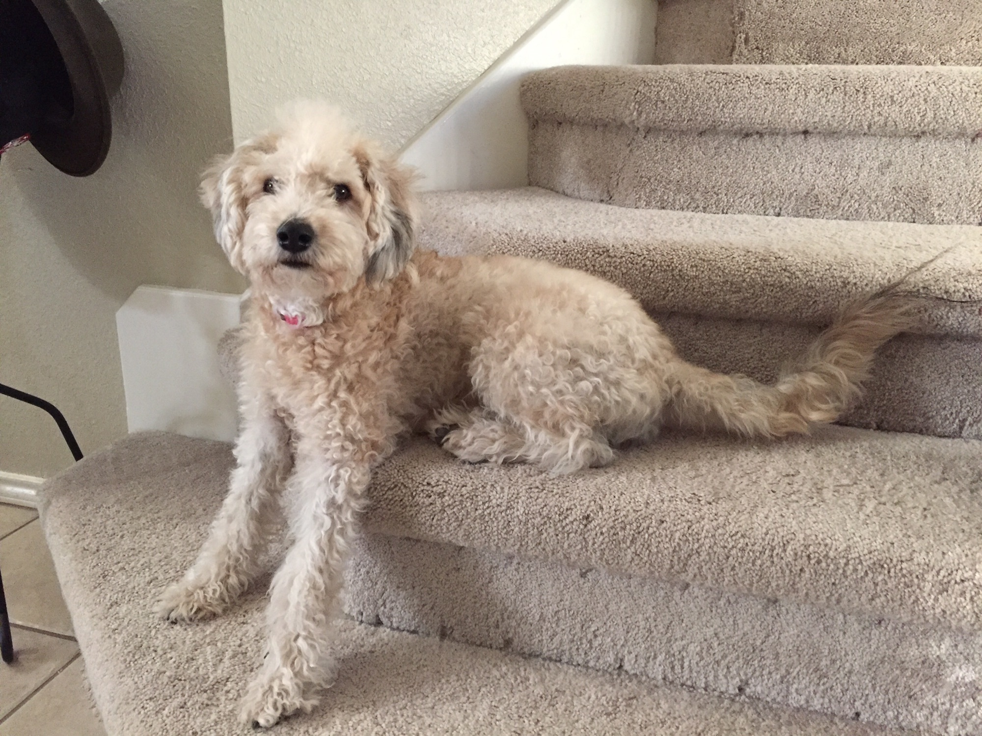 考え方の違い | TegeTege-life