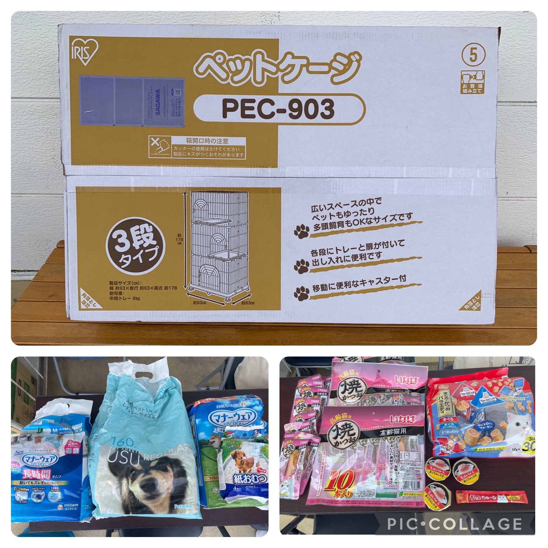 【24'4.20佐久譲渡会報告】 | NPO法人 一匹でも犬・ねこを救う会