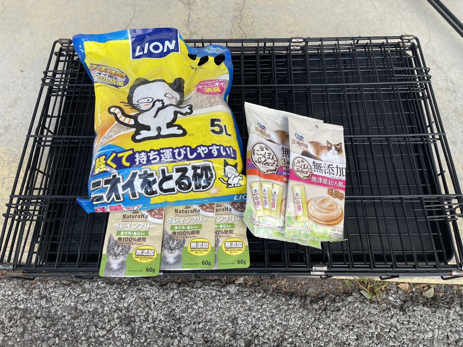 【23'10.21佐久譲渡会報告】 | NPO法人 一匹でも犬・ねこを救う会