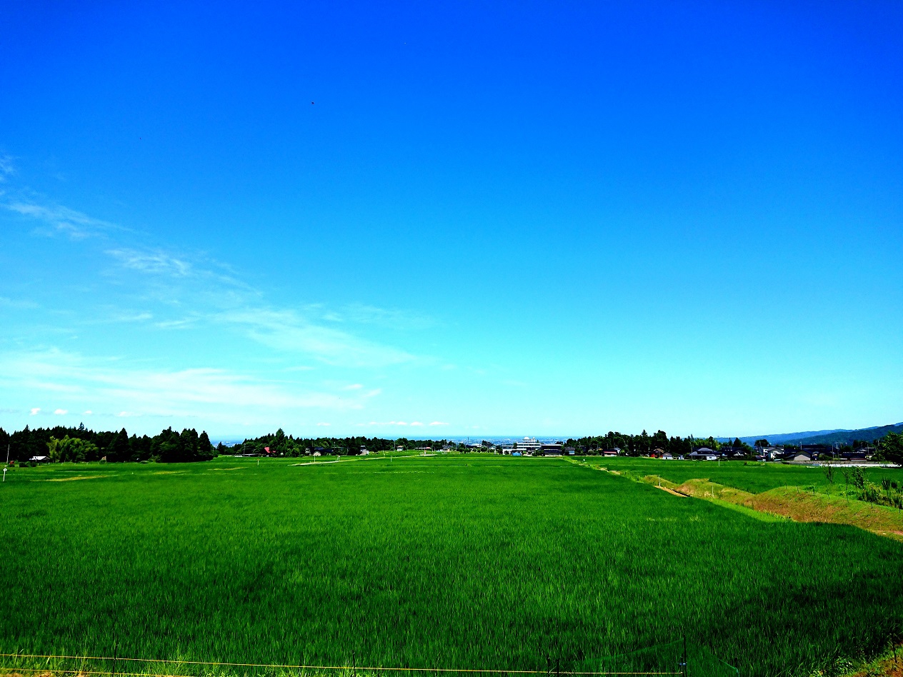 スパーリング | with life.kyousei.