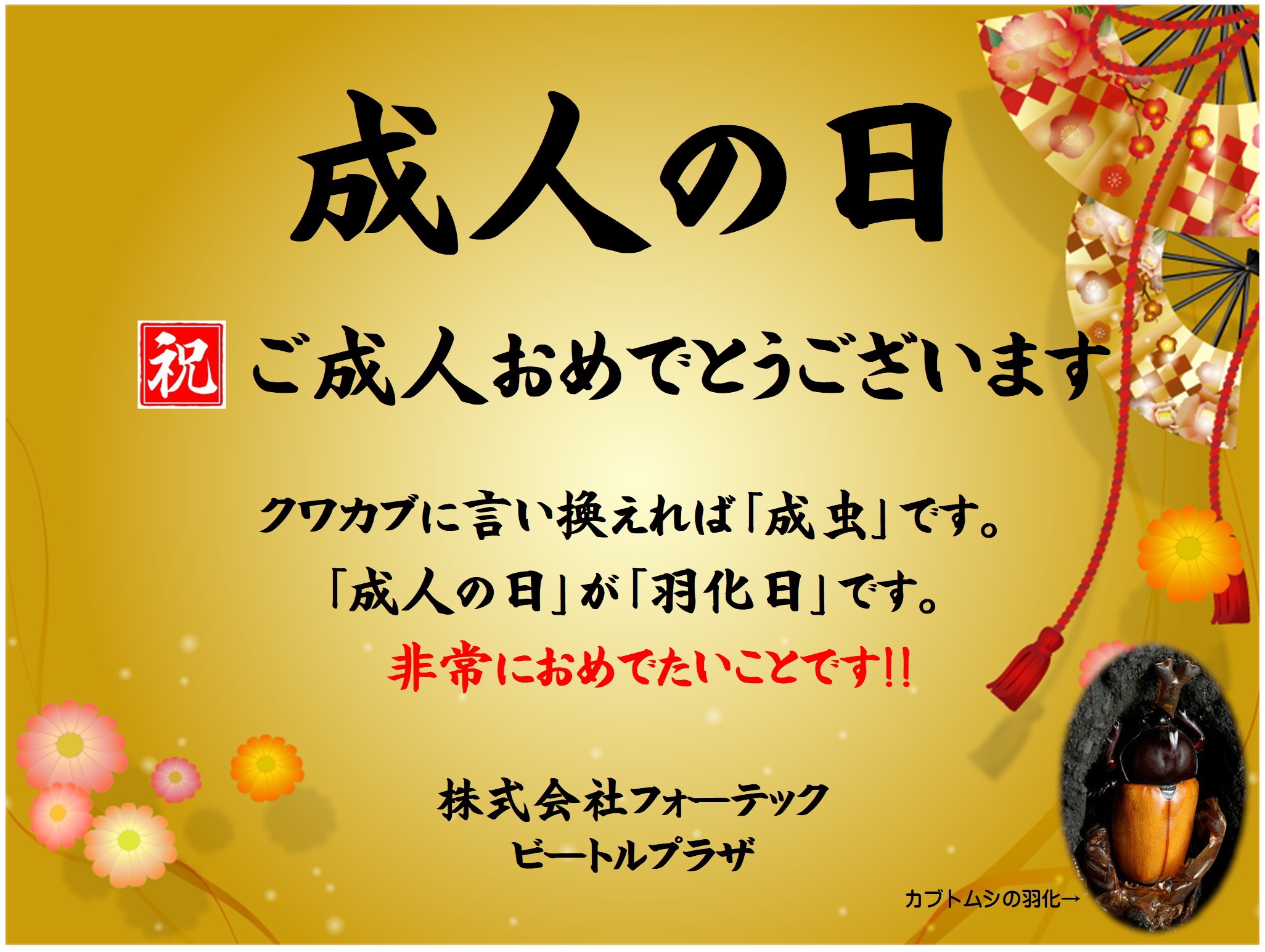 成人･成虫 | Fortech Information