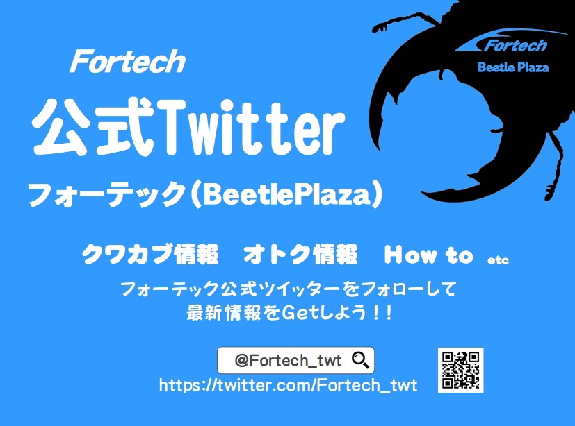 公式Twitter | Fortech Information