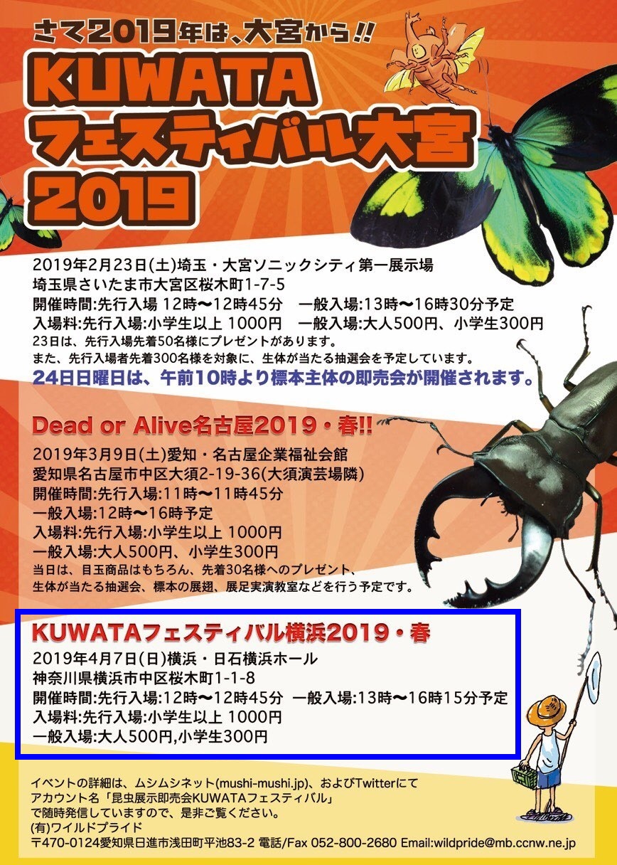 KUWATAフェスティバル | Fortech Information