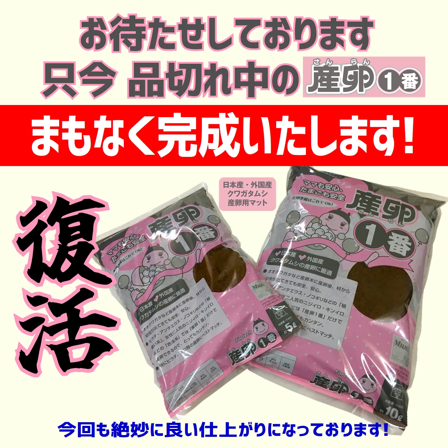 まもなく！ | Fortech Information