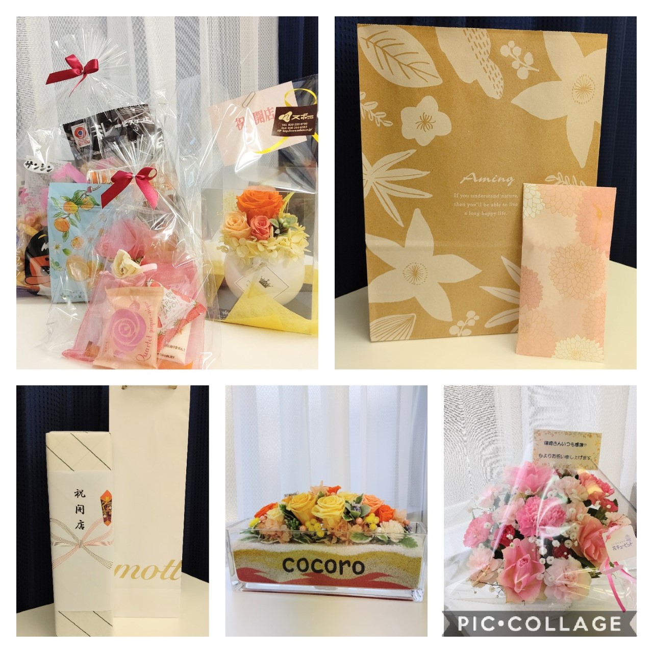 2021年3月3日長野市川中島にオープンしました！ | dog care salon cocoro