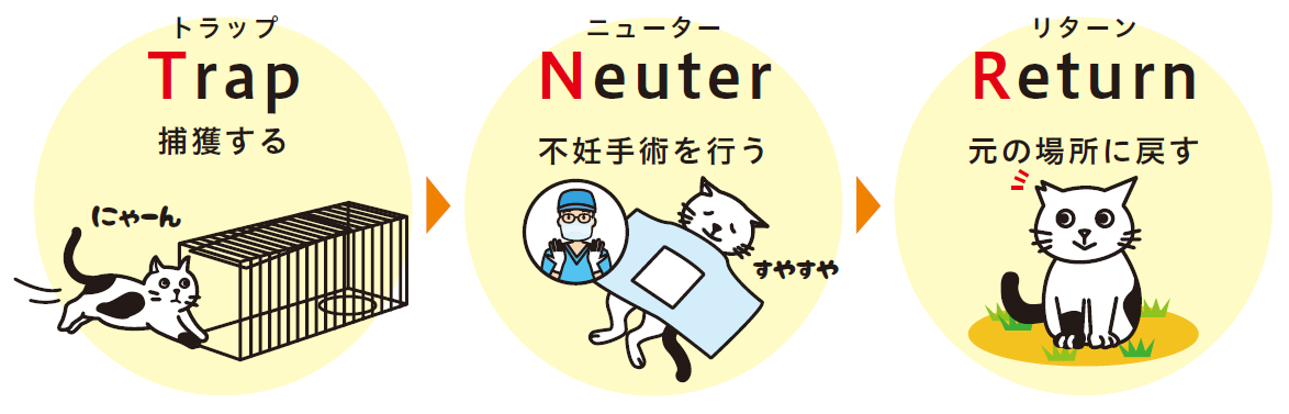 1．猫のTNR活動とは | ねこ友会