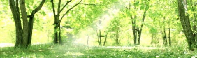 PRICE・MENU | Ante hair works