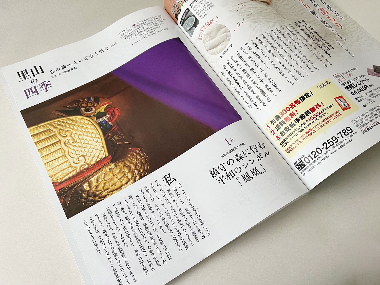 ゆうゆう 2023年1月号 | TiO design