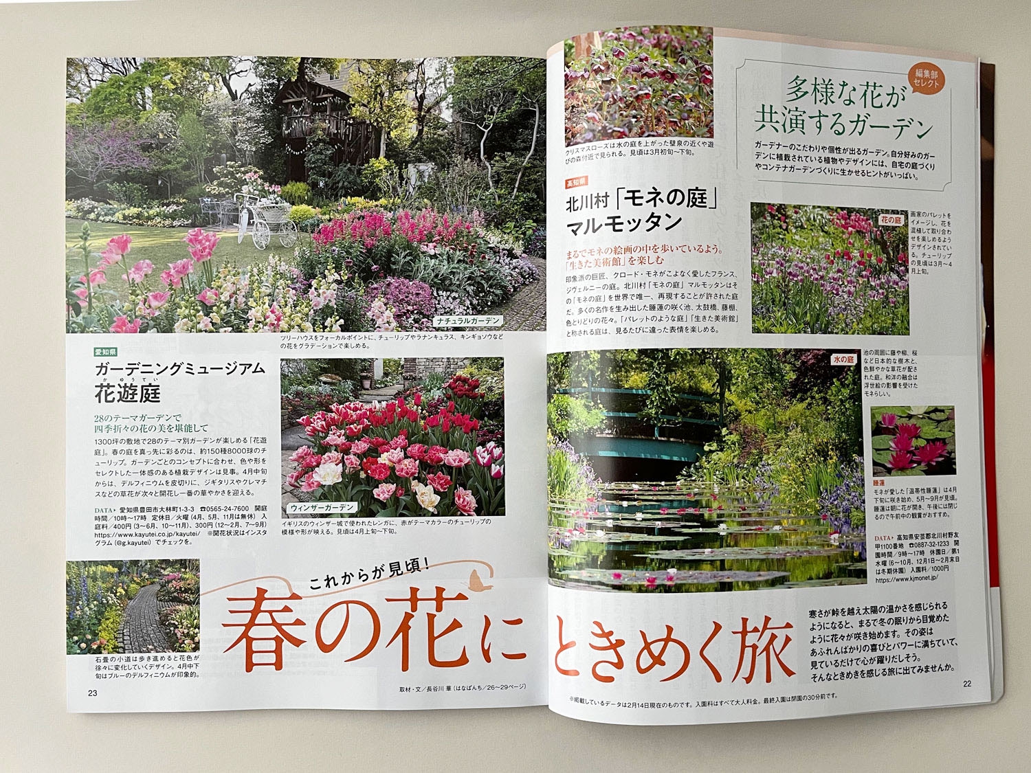 TiO designの記事一覧 : ページ6