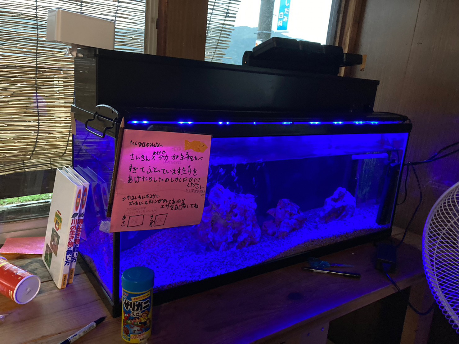 7月5日 フリースクール | NPO法人たんぽぽの風