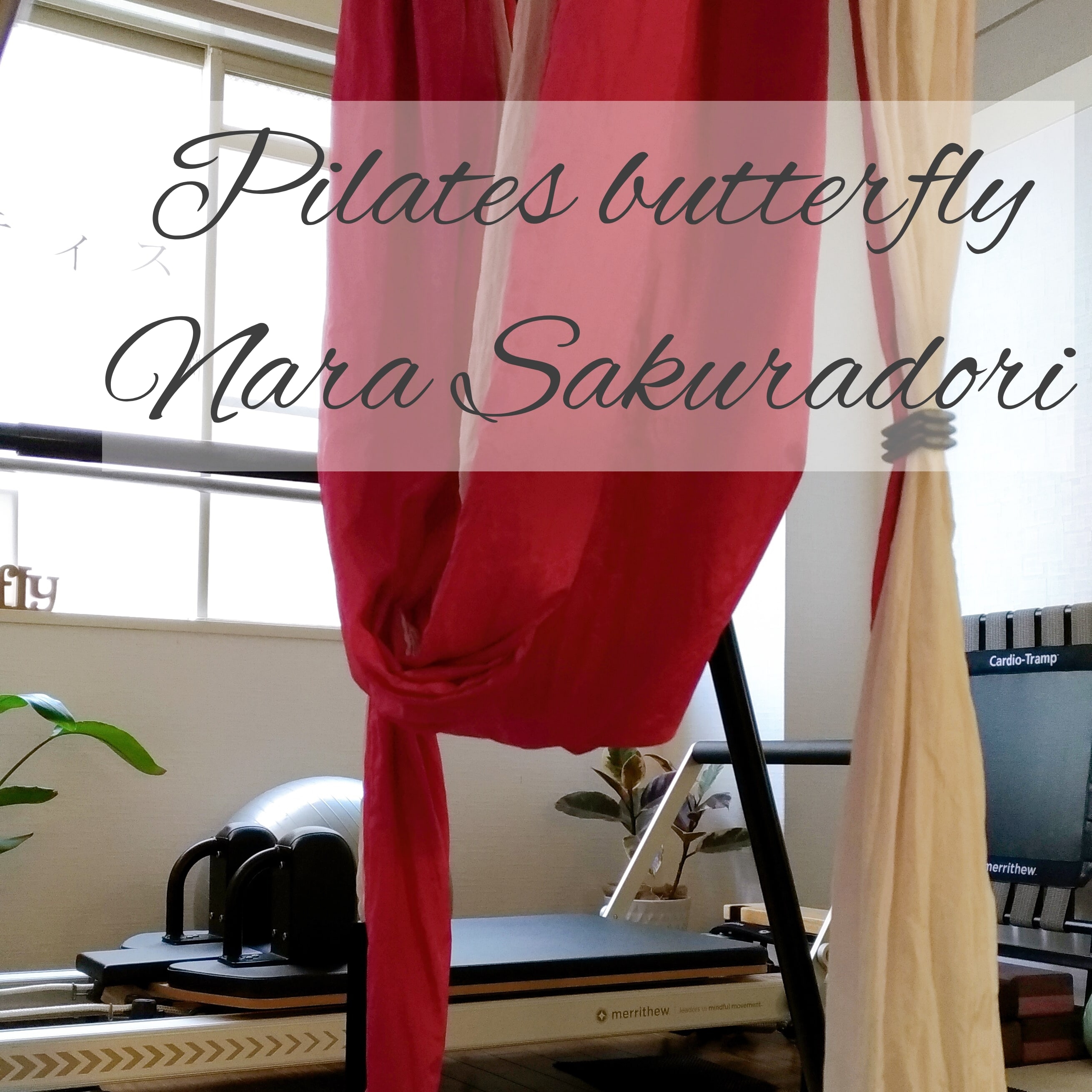 PROFILE | Pilates butterfly