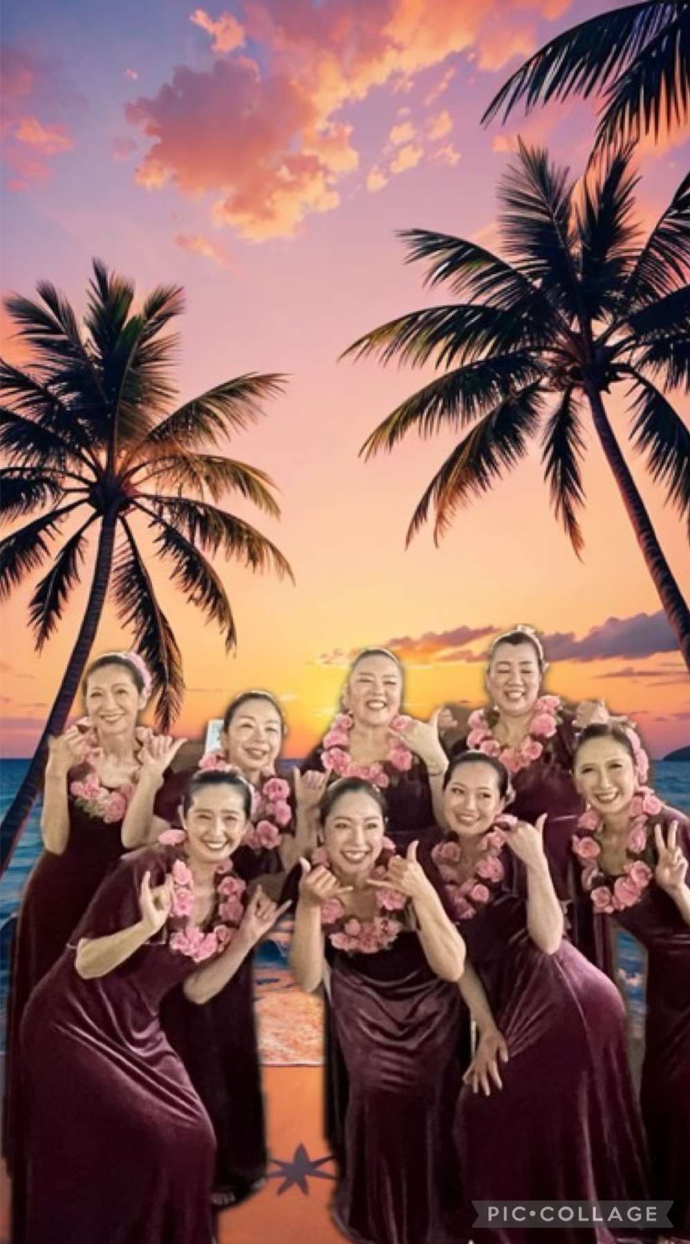 POʻE HULA HOALOHA