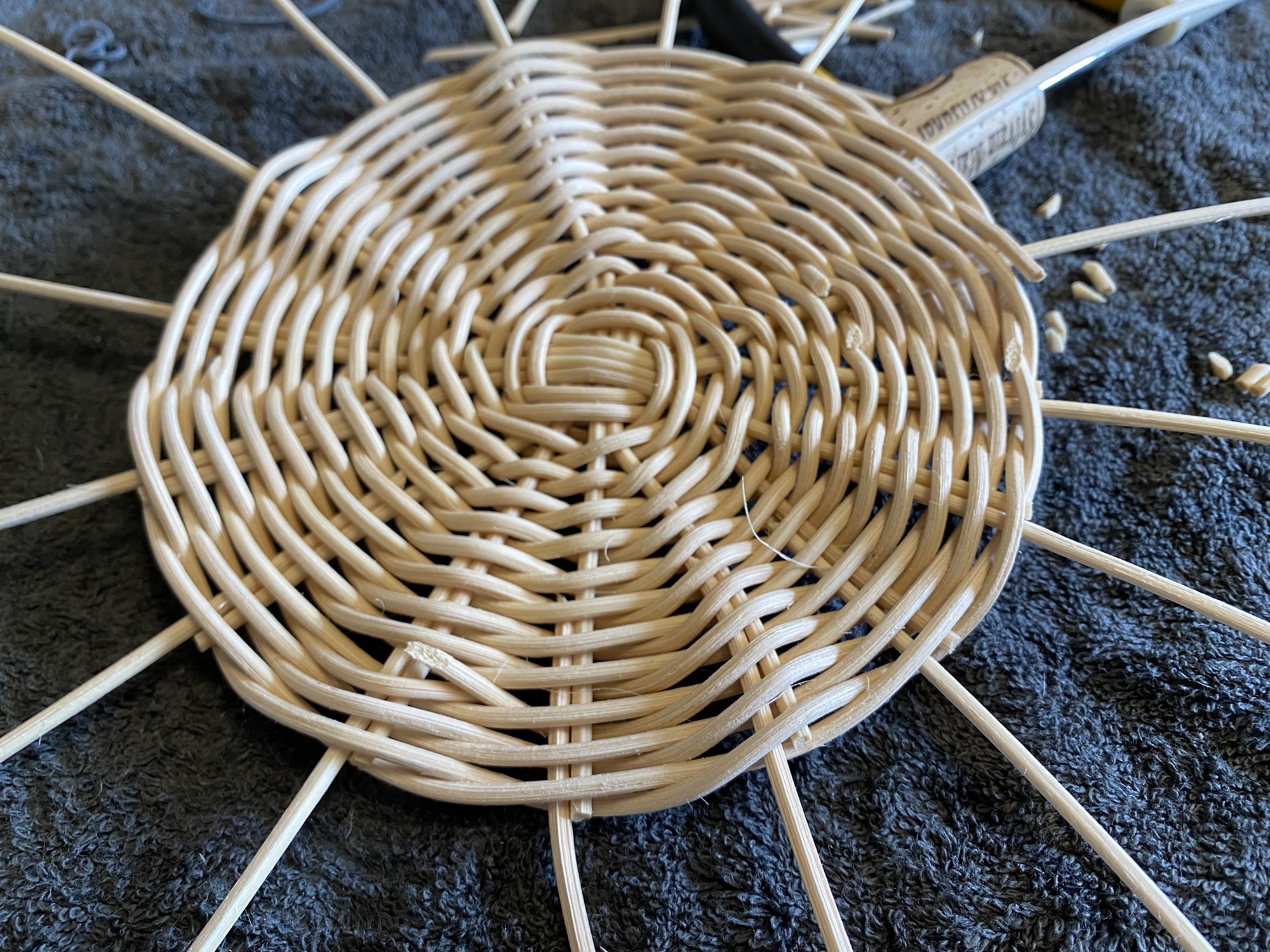 春tapiiriワークショップへ | ～ L'Aube