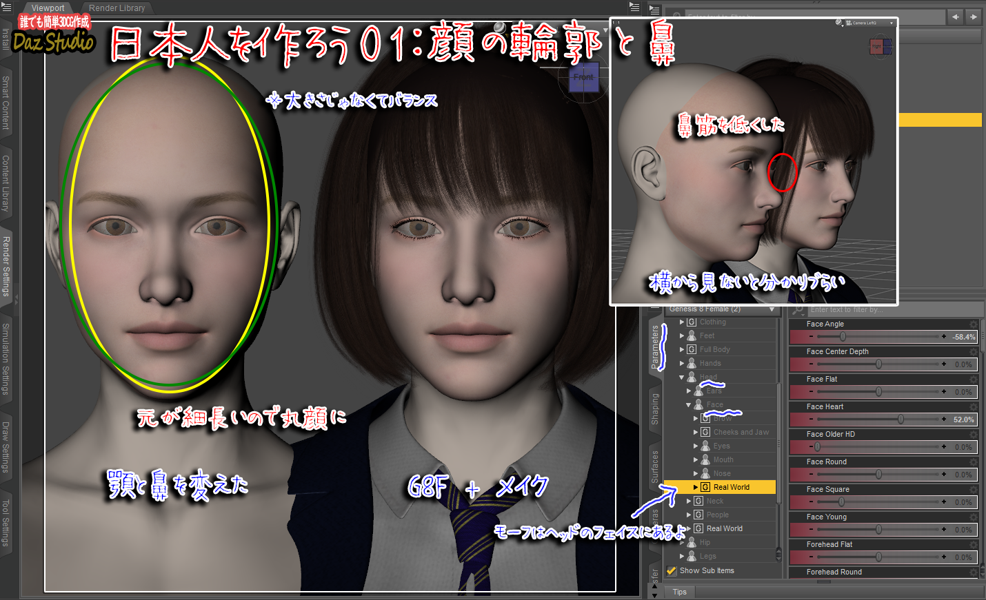 DAZを使って日本人の顔をキャラメイク：顔の輪郭と鼻 | かすみん's DAZ Studio GALLERY