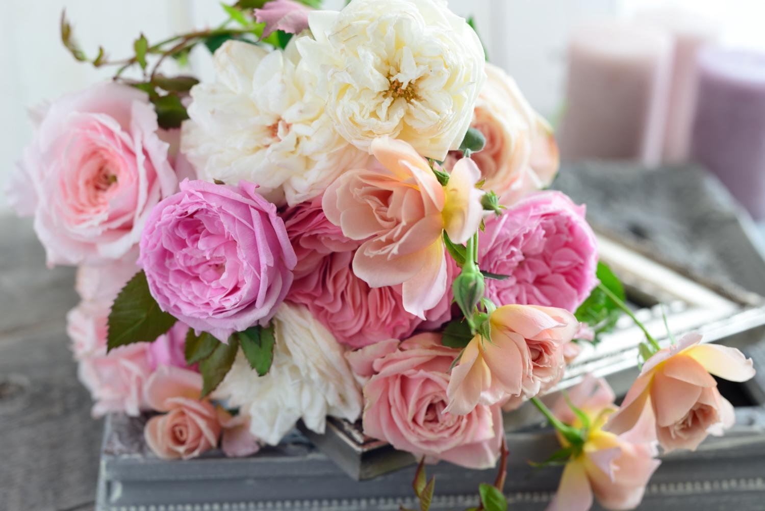 Sabrina Flower design & photograph