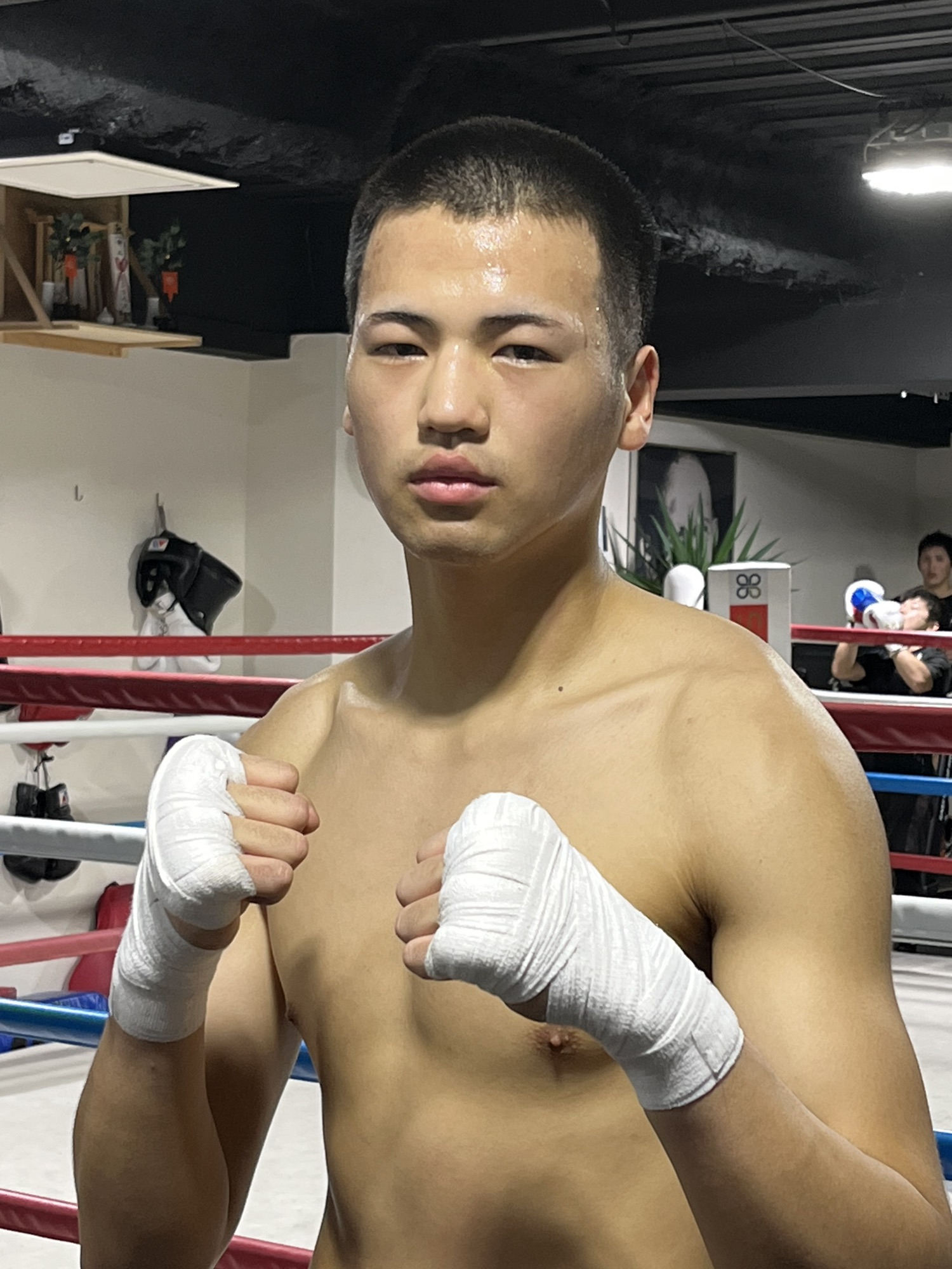 所属選手 ページ2 Green Tsuda Boxinggym