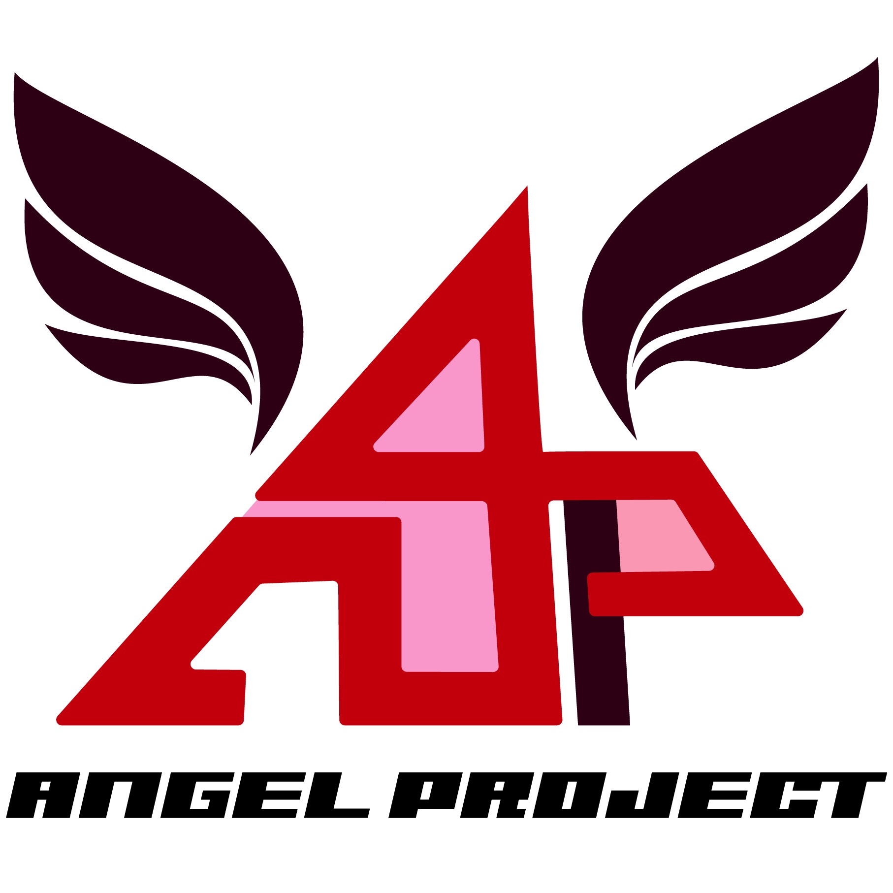 ANGEL PROJECT