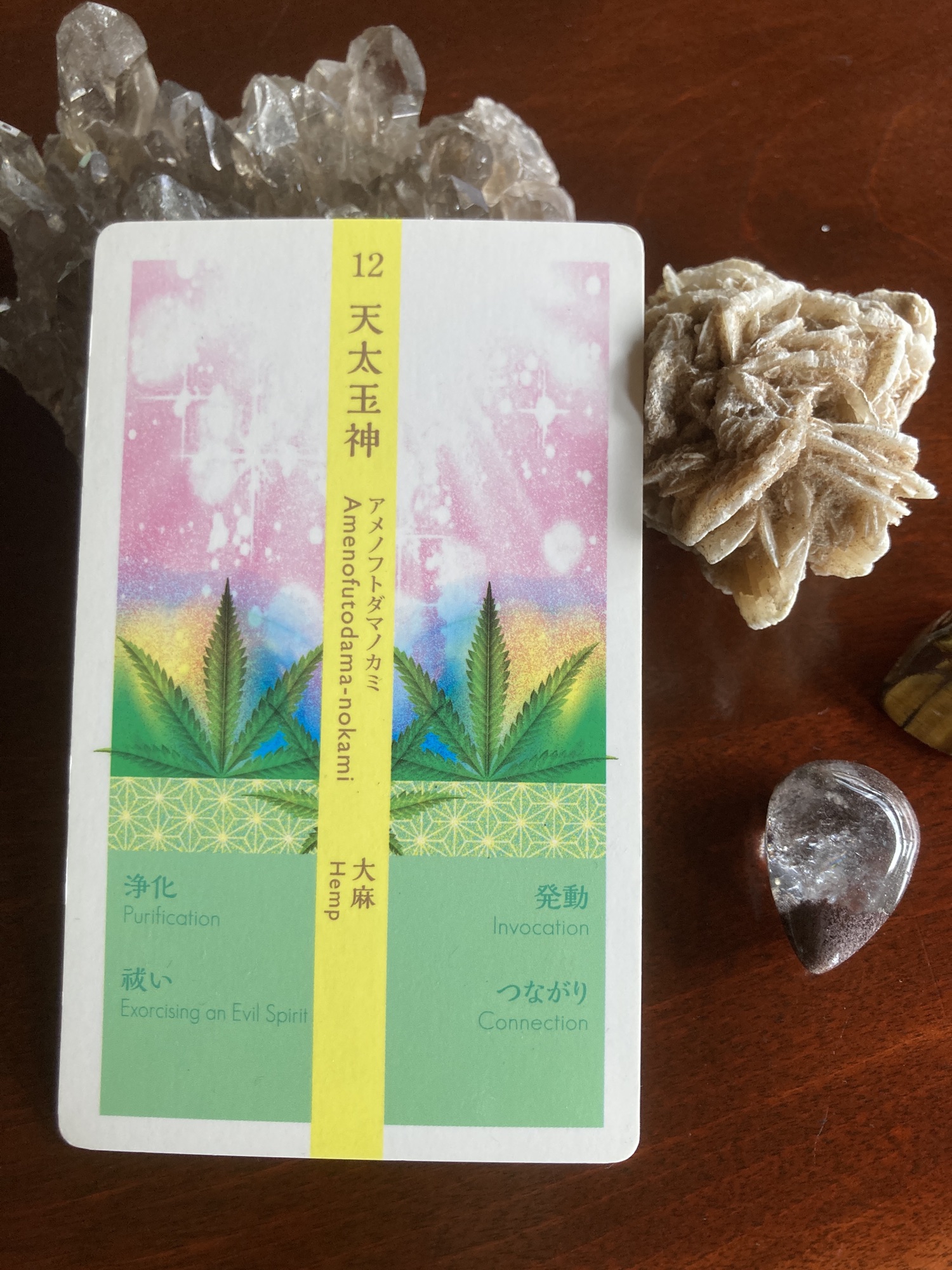 🍀5/14〜5/20🍀 | fumramaブログ