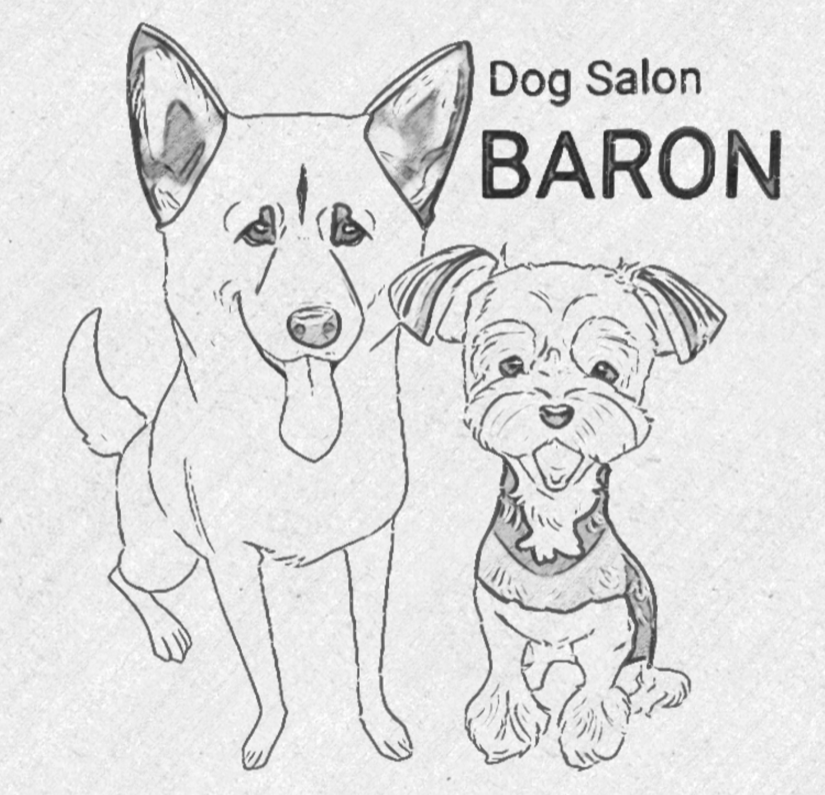 Dog Salon BARON