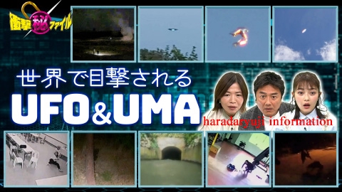 【BRO.原田龍二】2025.04.05(土) 再: 世界が騒然！本当にあった(秘)衝撃ファイル UFO＆UMA(秘)衝撃事件SP_広島テレビ | ぷりりんの癒されてBy原田龍二 ...