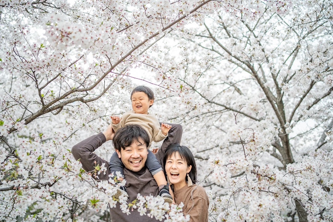 CONCEPT | sora_photo_365