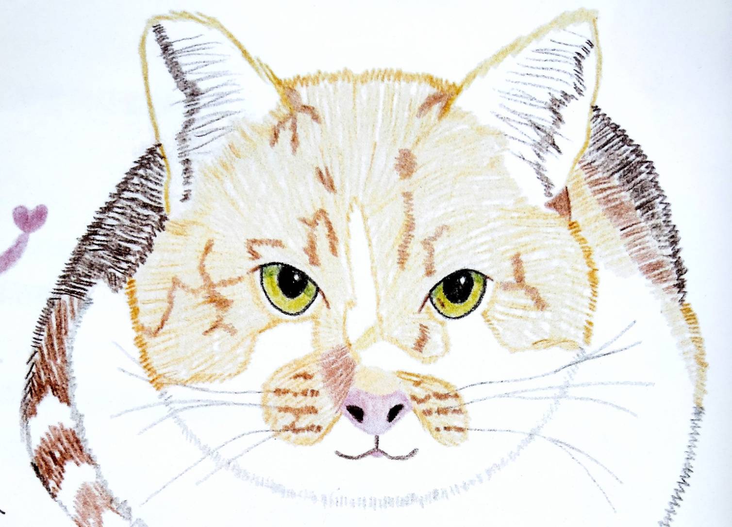 定例会 | NPO法人テンペラーレ