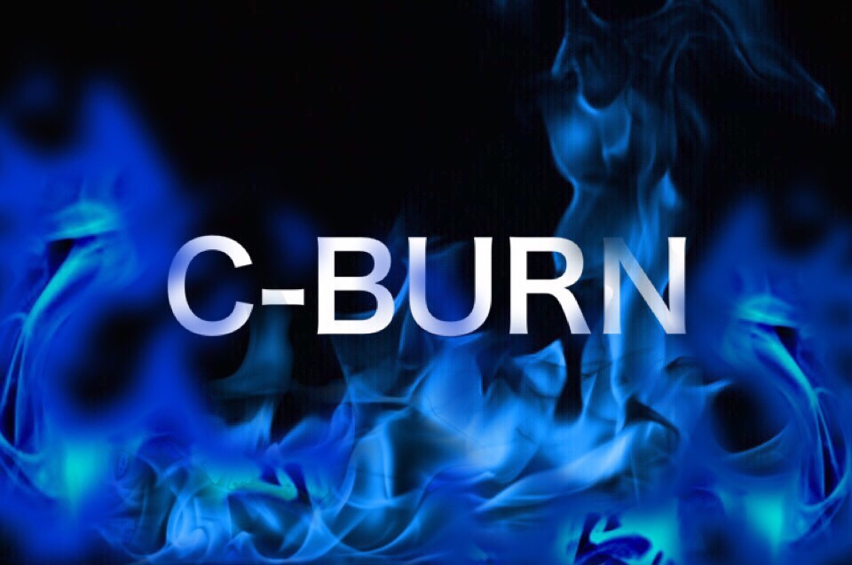 C-BURN シーバーン（ラルクアンシエル コピーバンド） | UTSUNOMIYA ROCK FES BAKUON-SAI