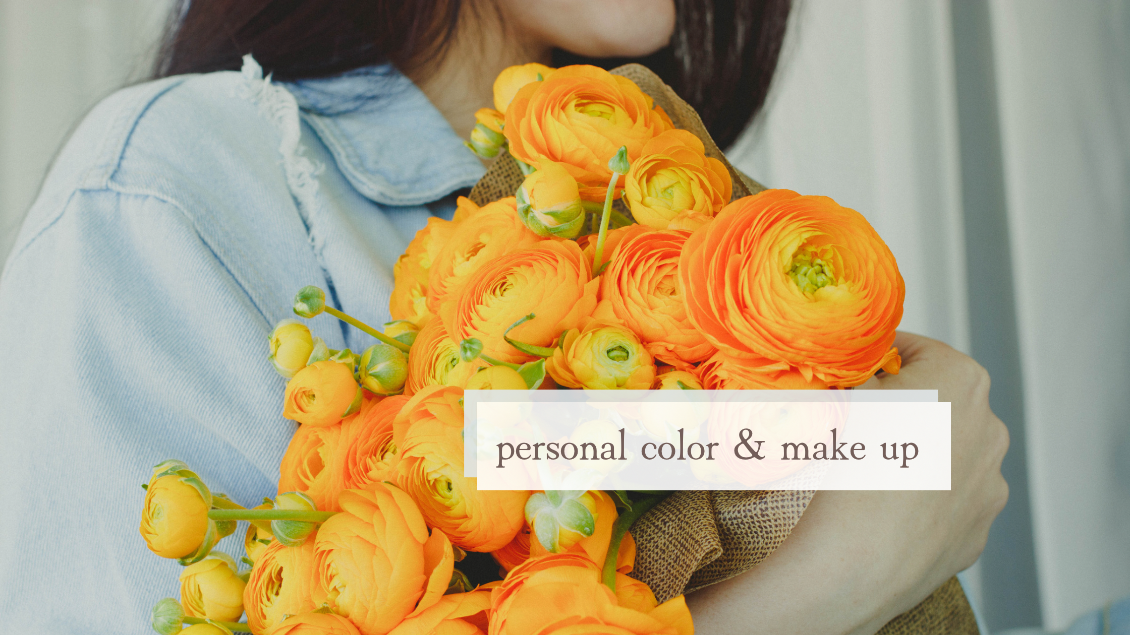 menu | Color Studio Miola