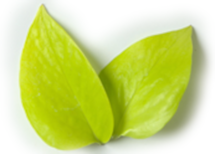 ameba owndの使い方の指導のため訪問 | ともねっと's Ownd