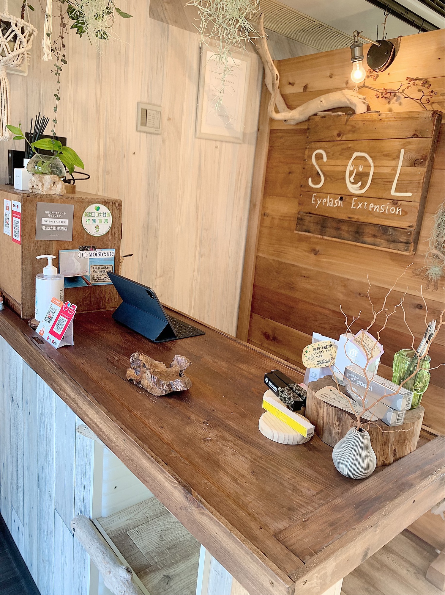 ACCESS | SOL-eyelash-