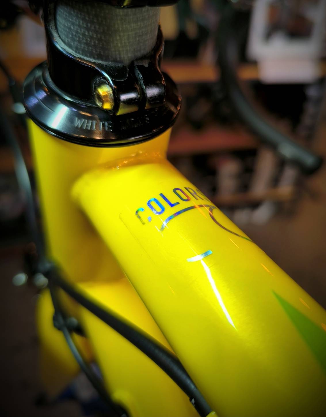 ショップステッカーについて | COLORS BIKE