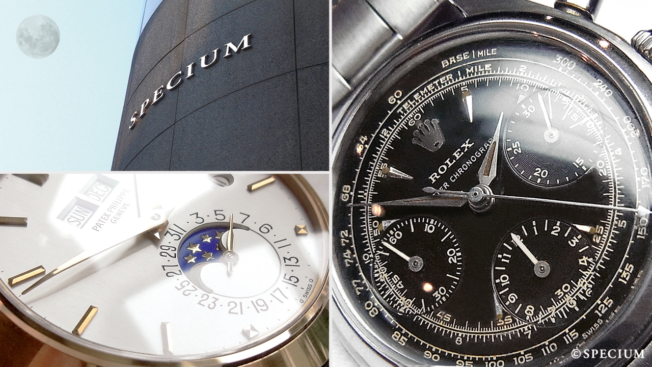 Official Site | SPECIUM