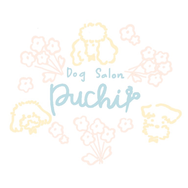 MENU | Dog Salon Puchi