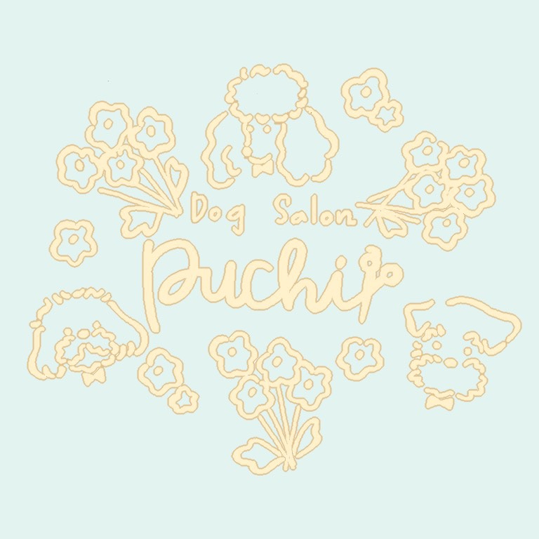 PROFILE | Dog Salon Puchi