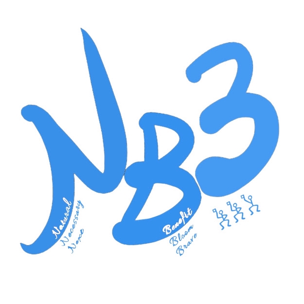 会社概要 | NB3.LLC