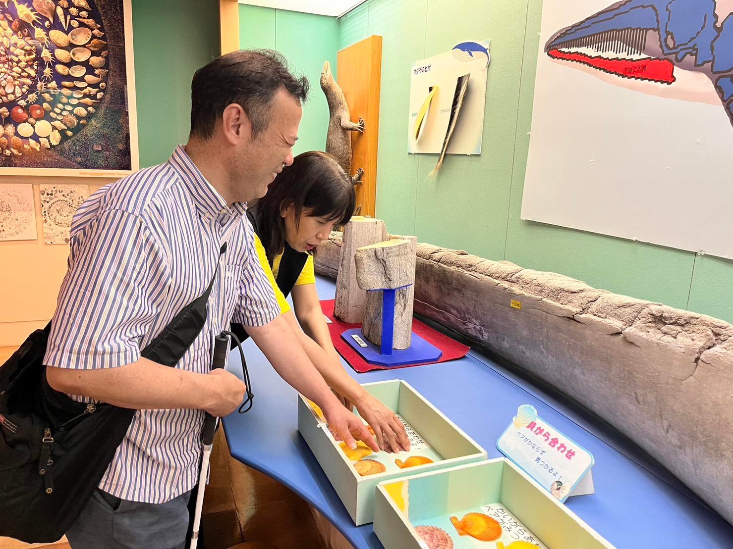 ユニバーサルツーリズム あ～だこ～だ vol.3 | office FUCHI 〜オフィス・フチ〜 〈渕山知弘〉