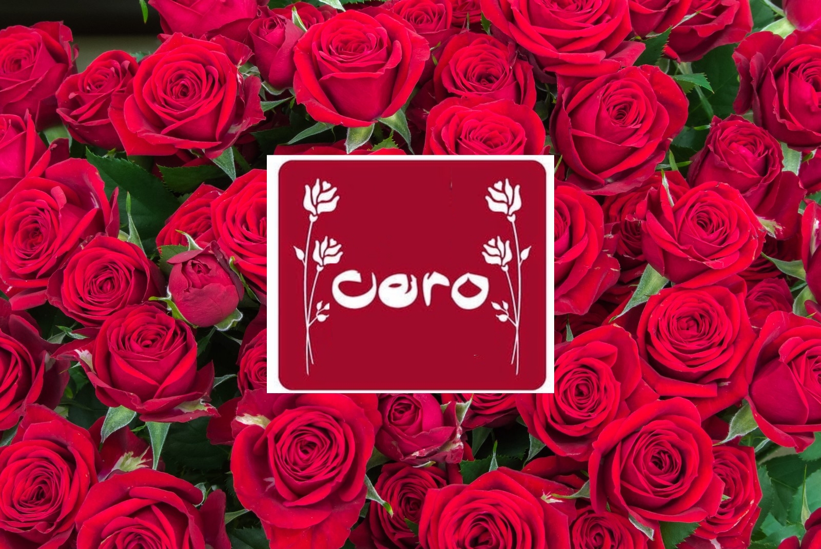 Cero Cero