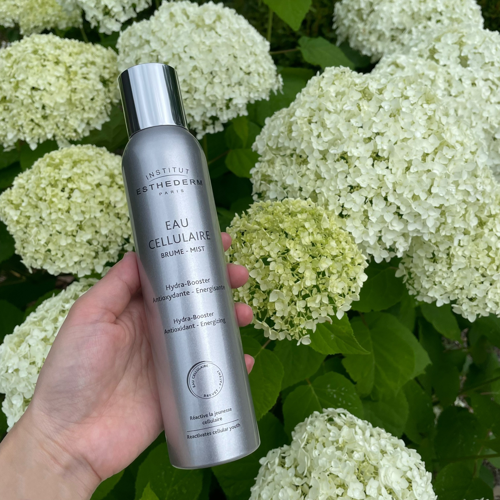 フェイシャル | Salon de MIKO