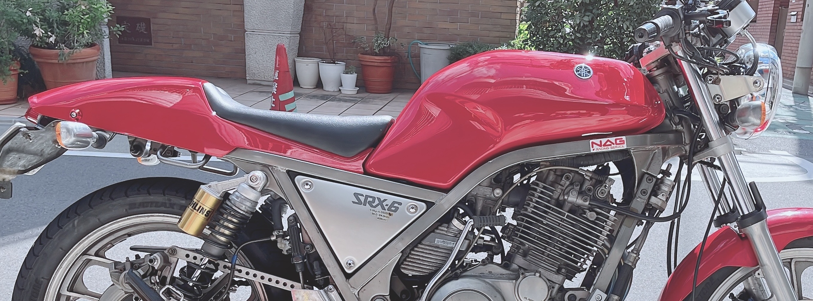 シングルシート | 俱楽部SRX