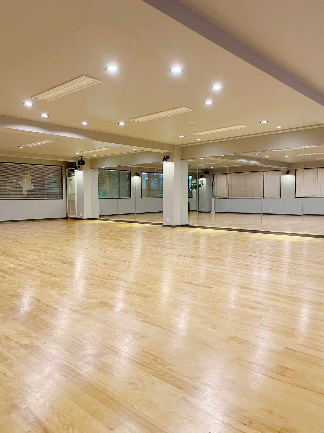 Location | dance zone VIVACE