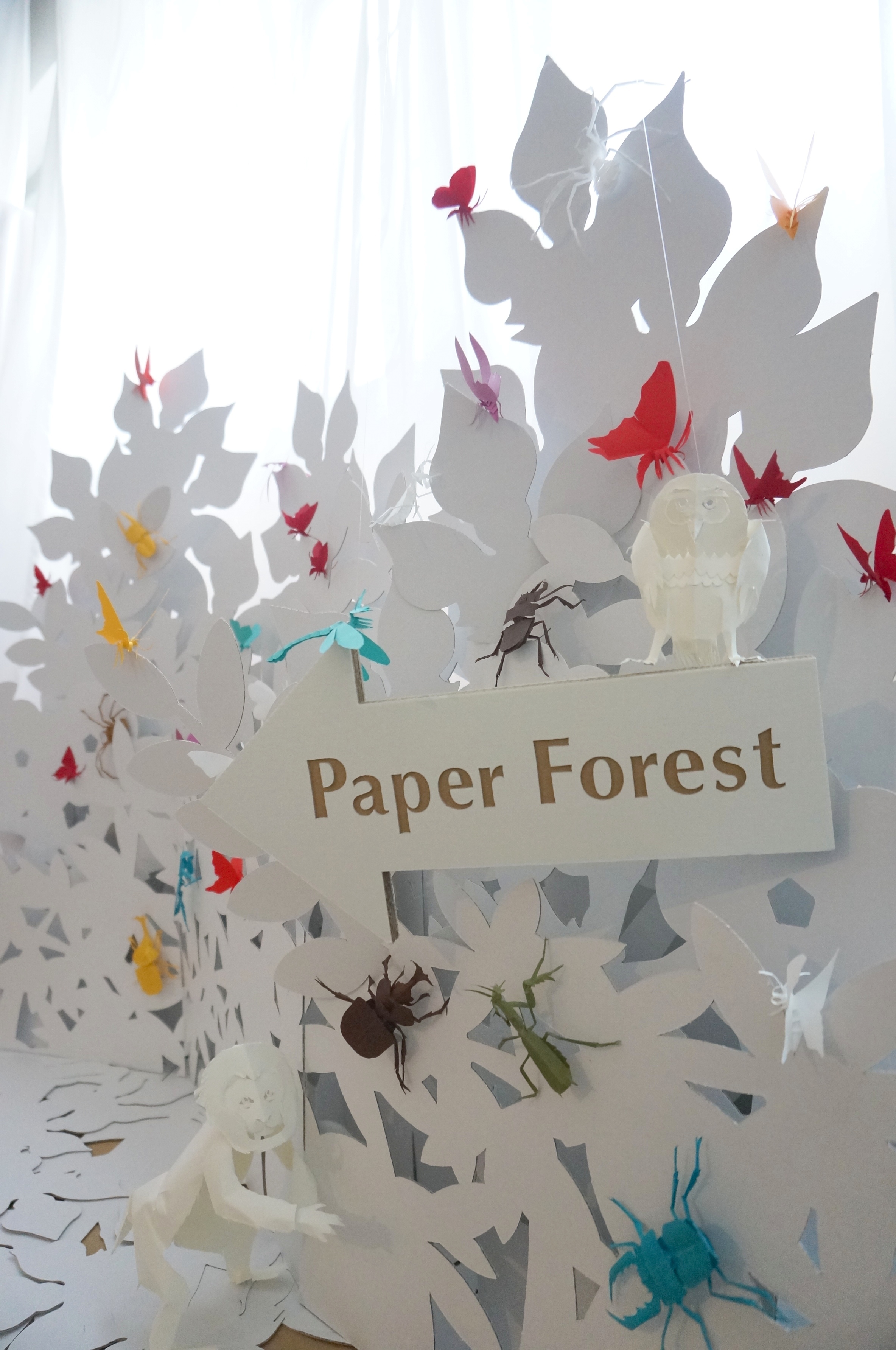 The Paper Forest | Akari's Diary "English for my Destination"