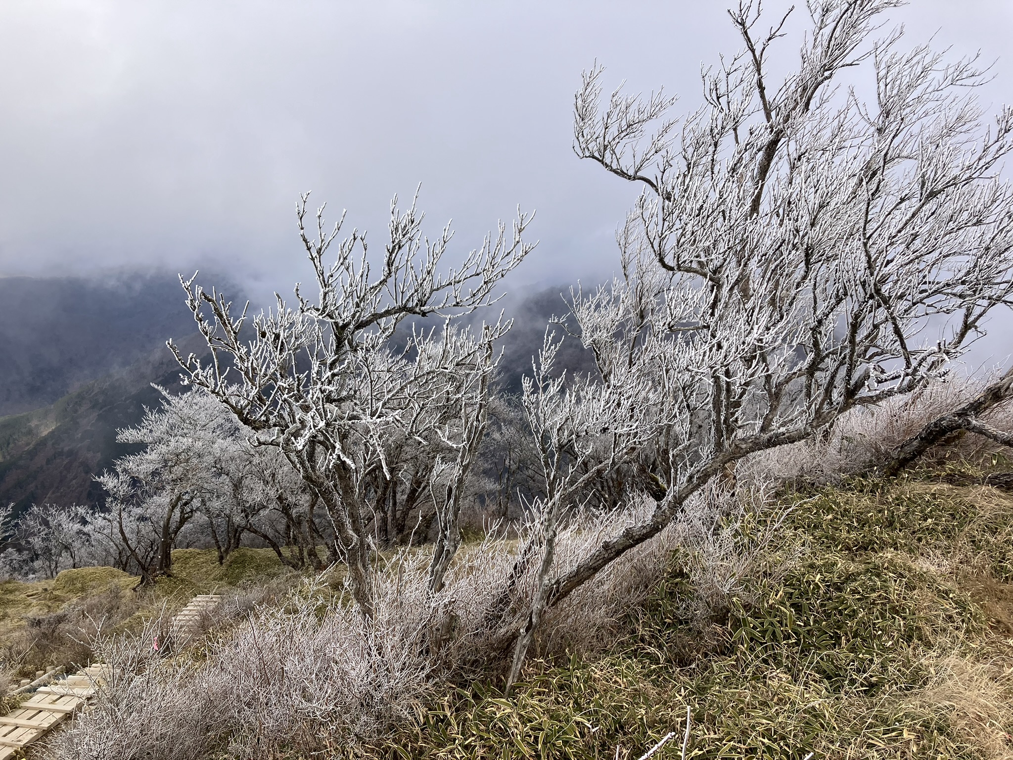 2025/12/27 | 塔ノ岳 尊仏山荘