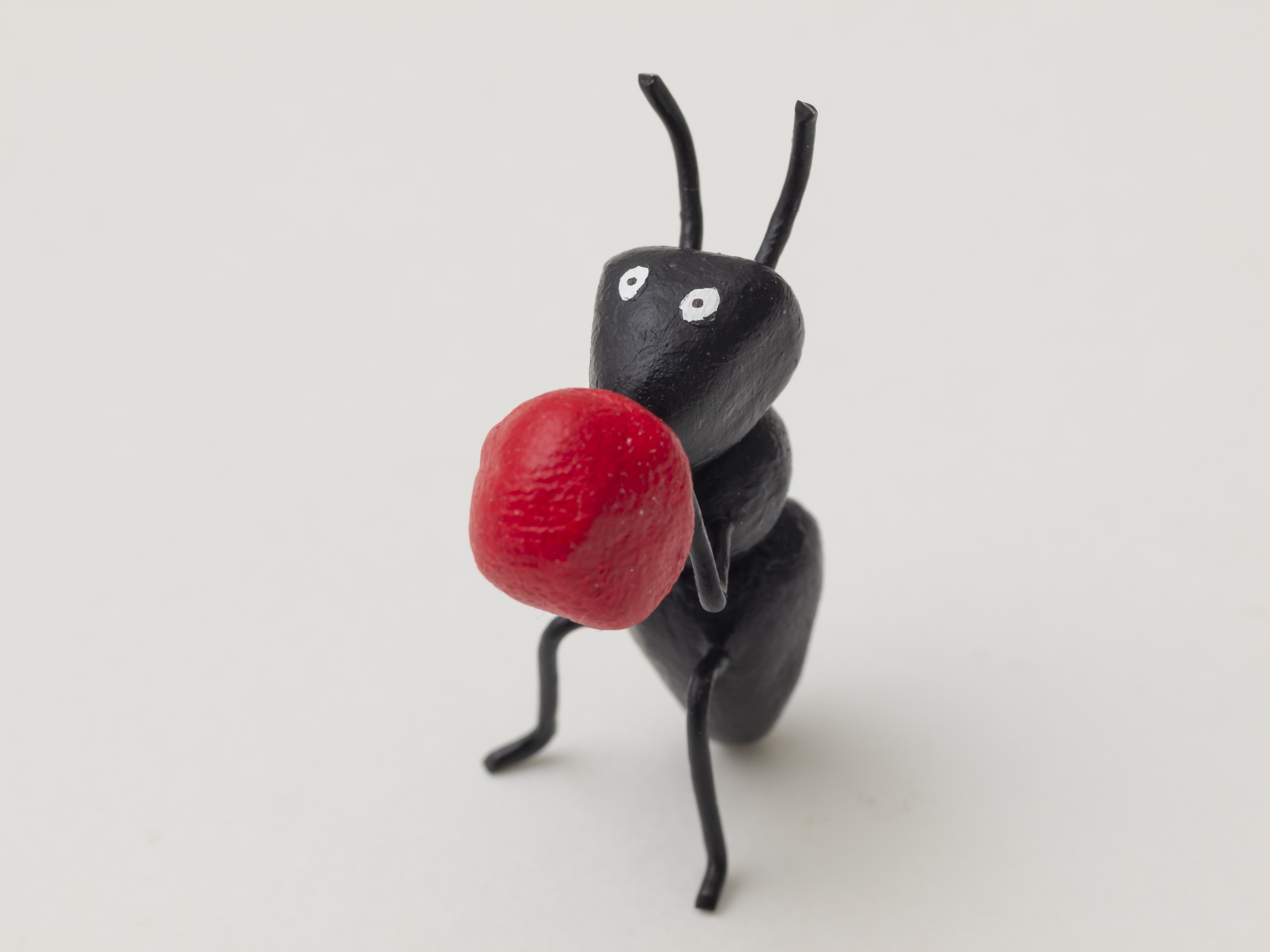 ant plus