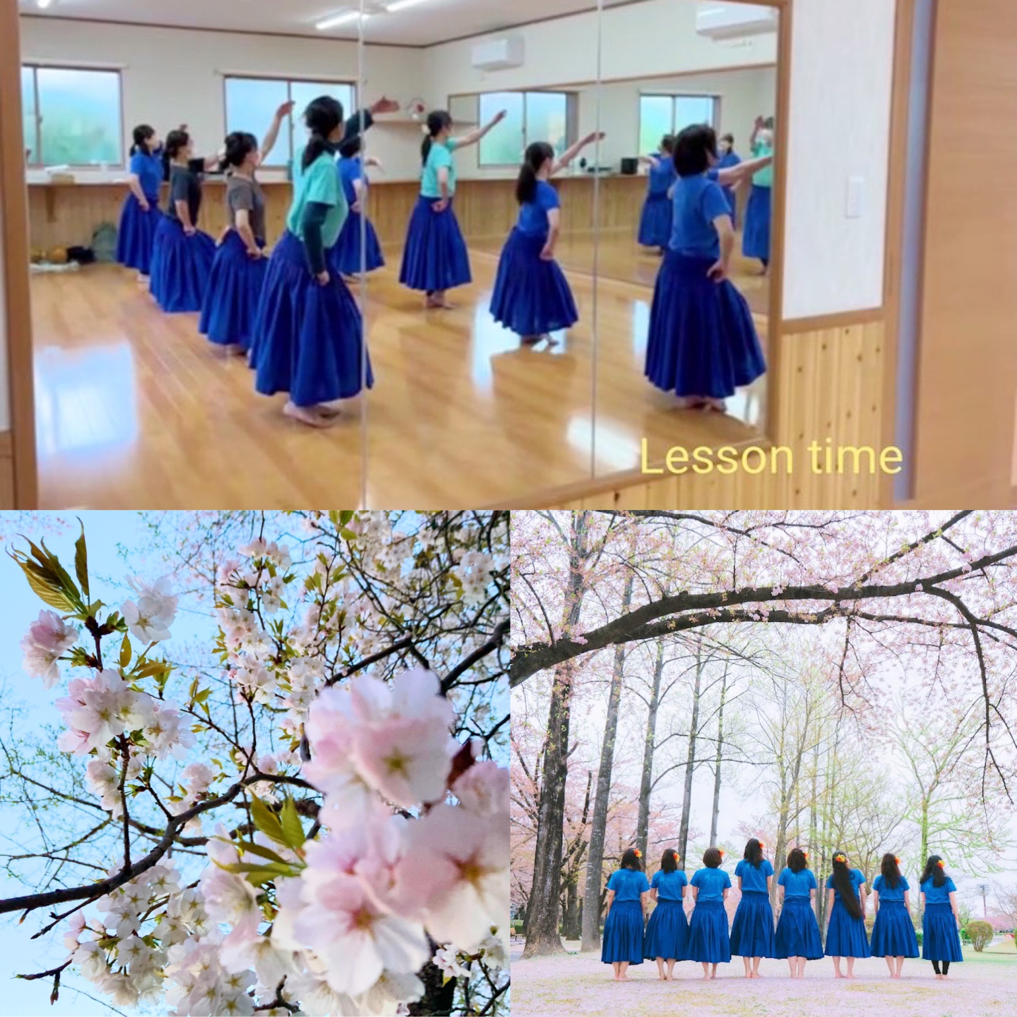 Hoike に向けて | megumihulastudio