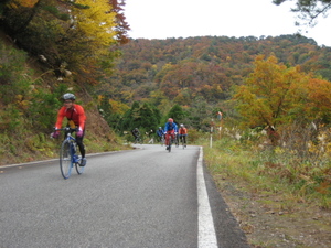 ツールド池田2009の案内 | 福井市内パトロール日誌4