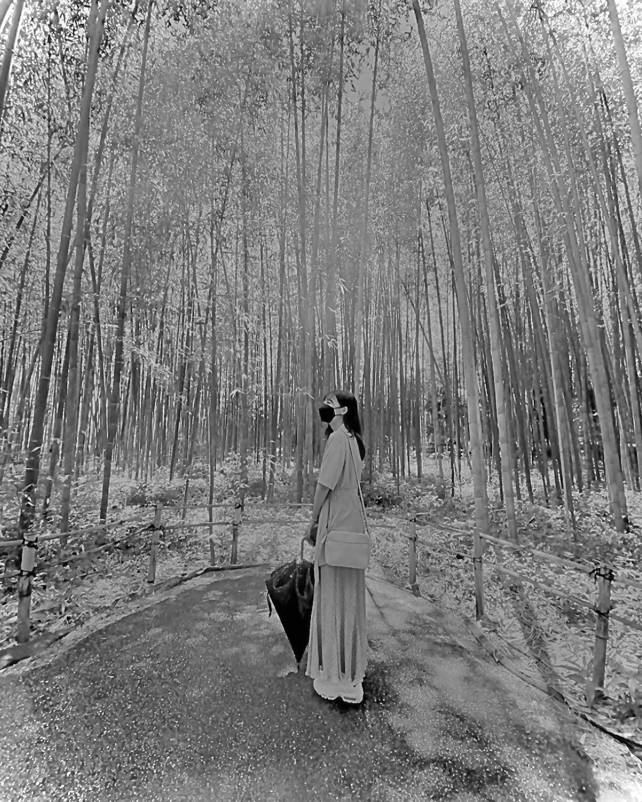 SS46D Arcihves〜All Gods Bless Me〜 | Sunny Slope Four By Six Document