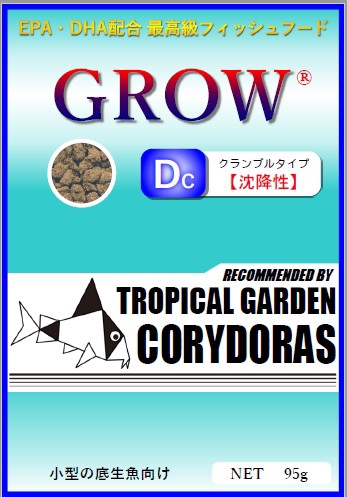 コリドラス・ゼブリーナ（CW111） 【トロピカルガーデン・コリドラス】コリドラス